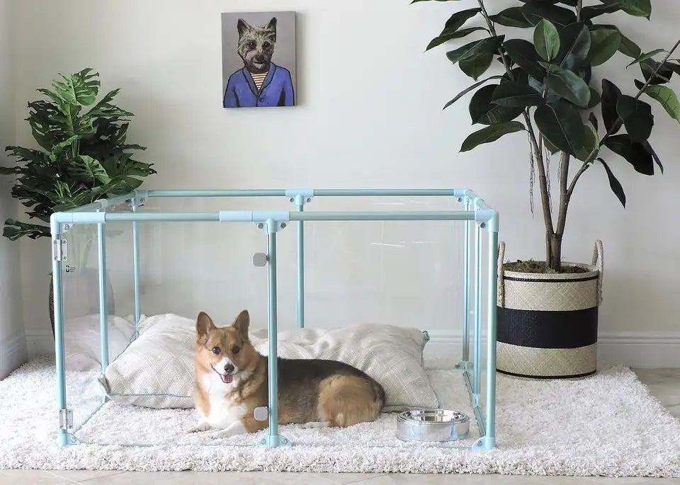 Pet Play Pen & Enclosures